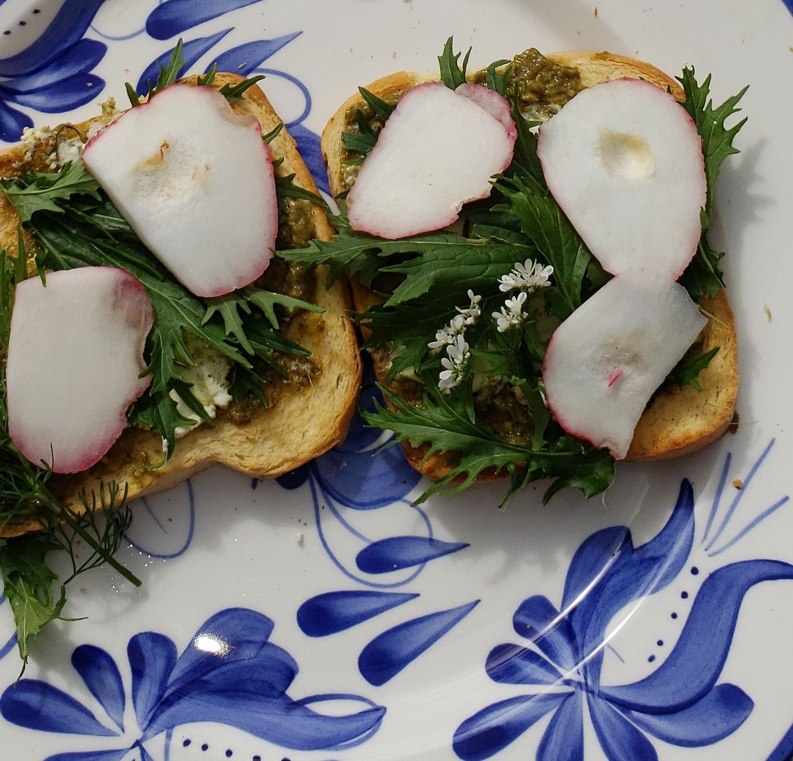 Tostada para verano – Milamores Colombia